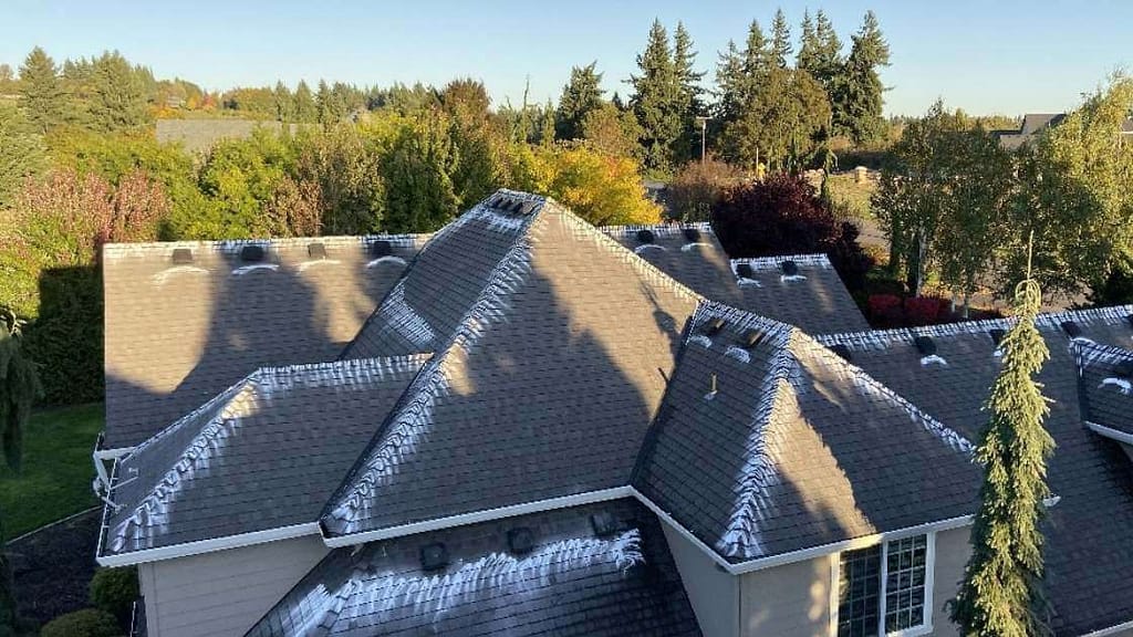 Chemical Roof Cleaning: What Chemicals Are Used To Clean Roofs?