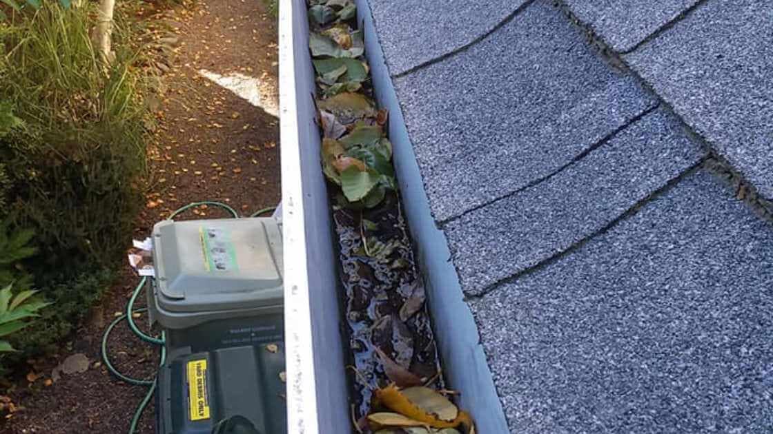 Best When To Clean Gutters: Expert Tips & Timing Advice