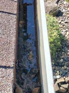 Close Encounters Of The Roof & Gutter Kind - Forcewashing - Roof ...